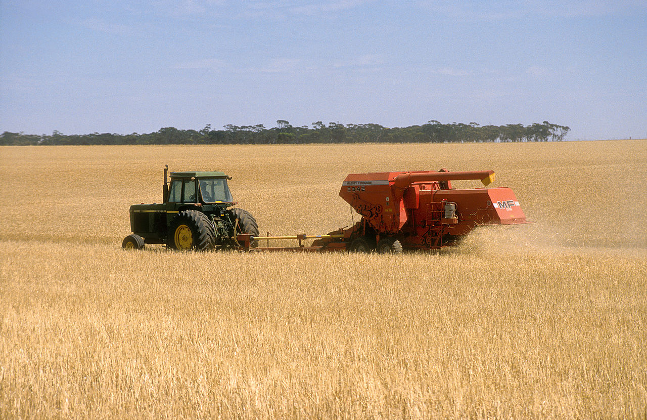 Wheat Types and Their Yields in Australia